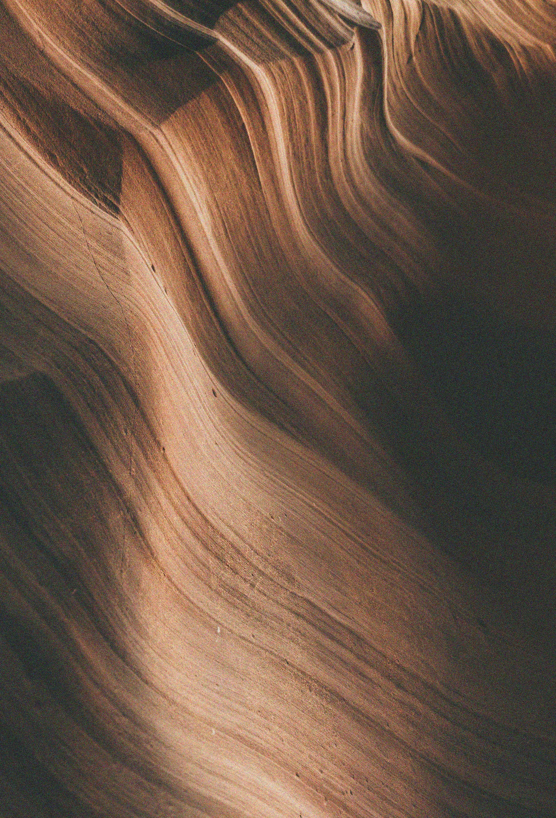 ST. ROSE Fragrances - Conscious Luxury